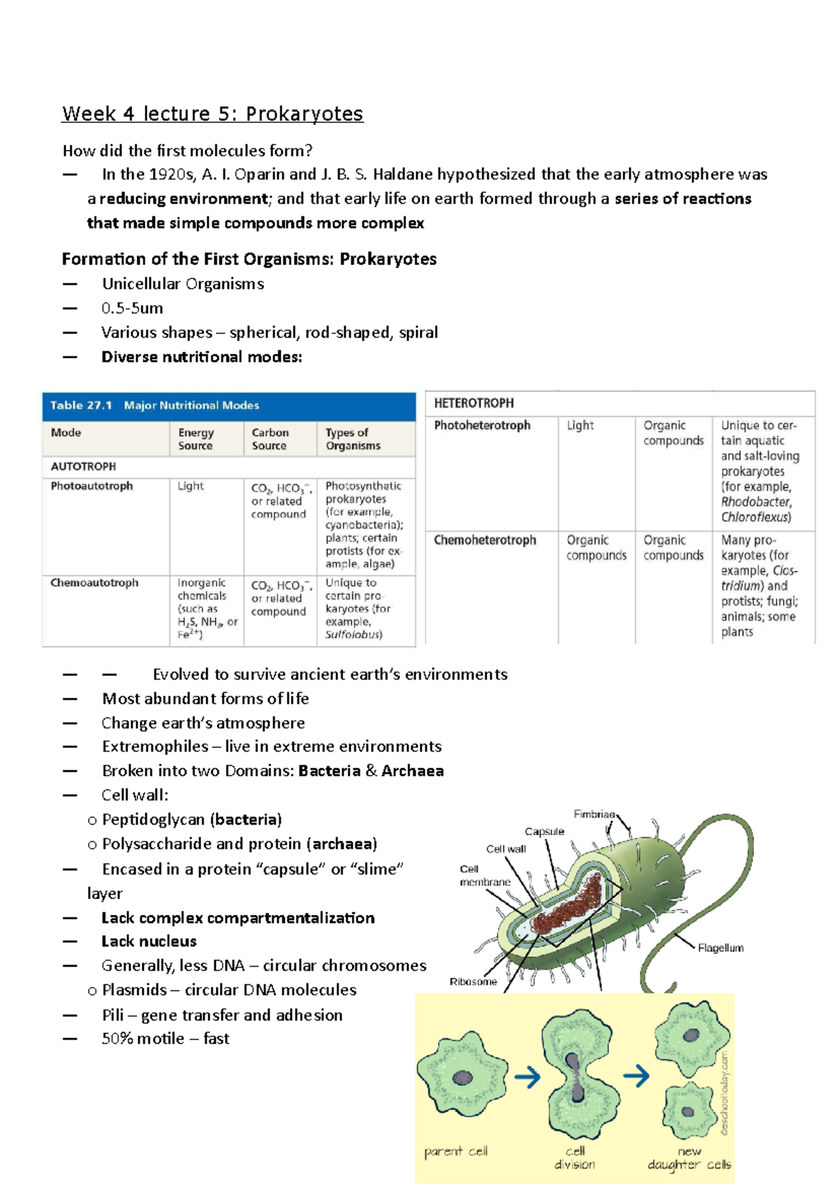 Week 4 Lecture 5 - Compressed notes - Week 4 lecture 5: Prokaryotes How ...