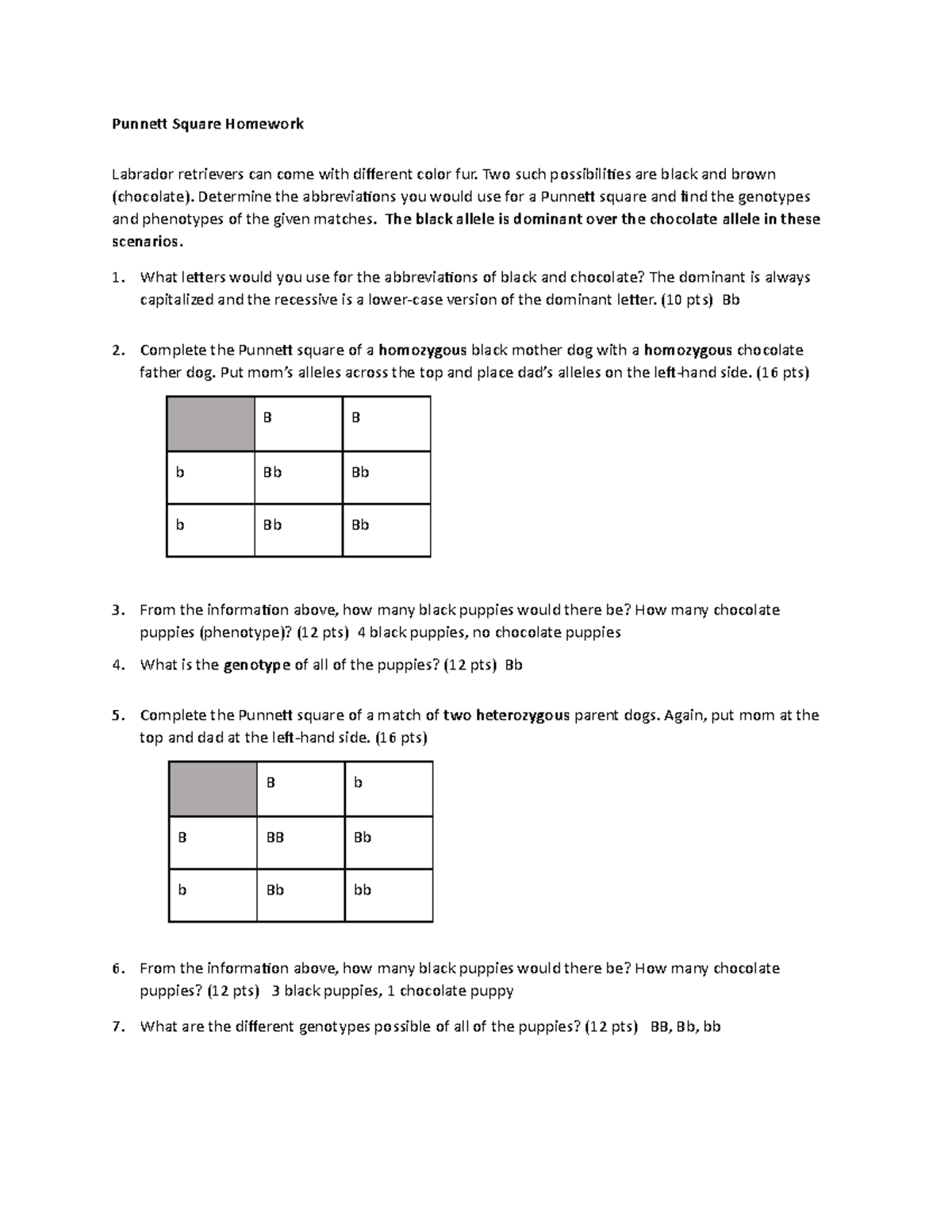 #10 Punnett Square Homework - Punnett Square Homework Labrador ...