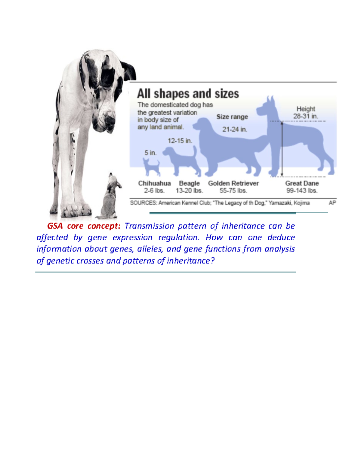 3-23 Epistasis and Complementation - Chapter 12: Oligo and polygenic ...