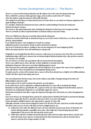Human Development, Organogenesis and Anatomy Lecture 6 - Human ...