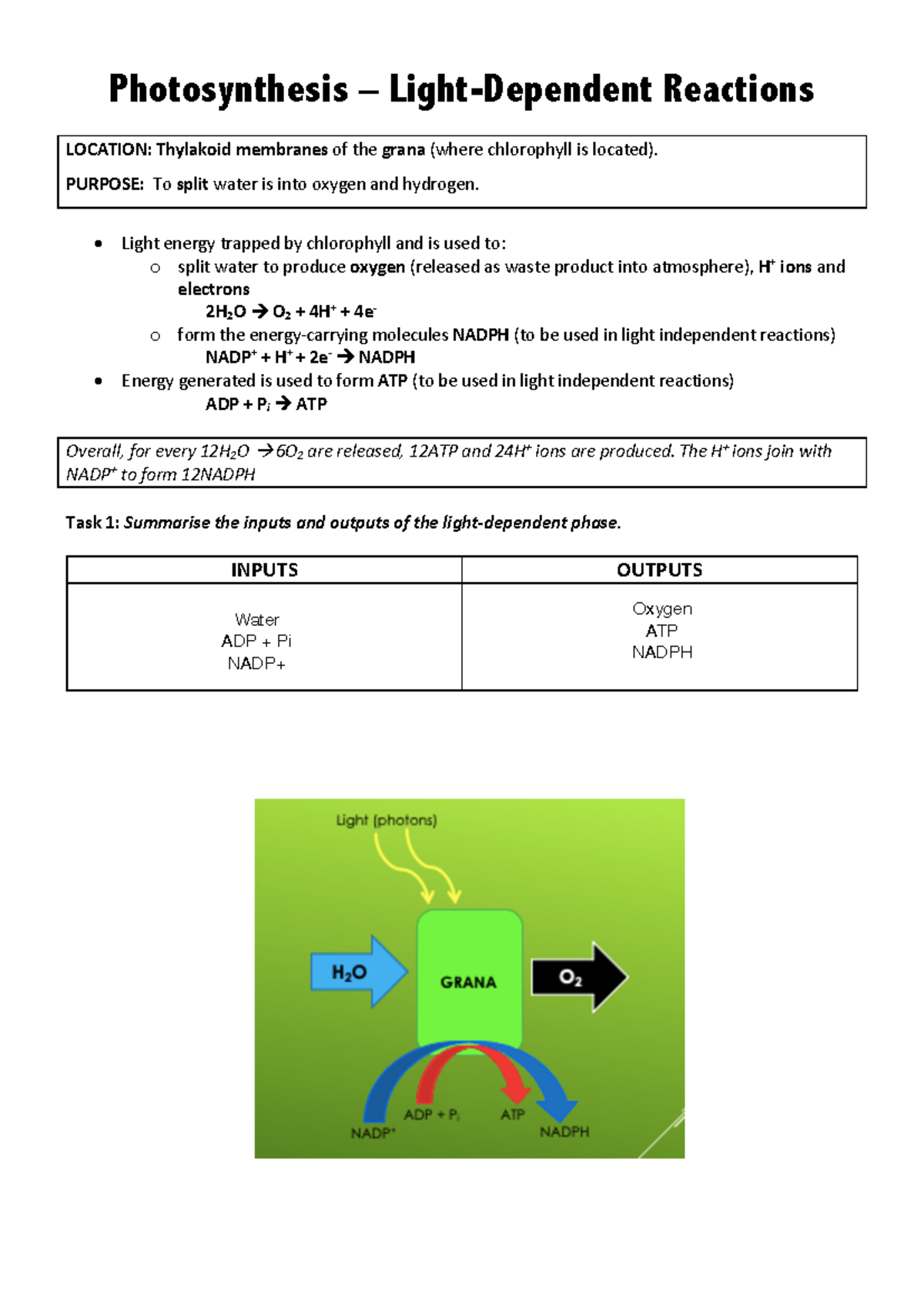 Photosynthesis Summary - Photosynthesis – Light-Dependent Reactions ...