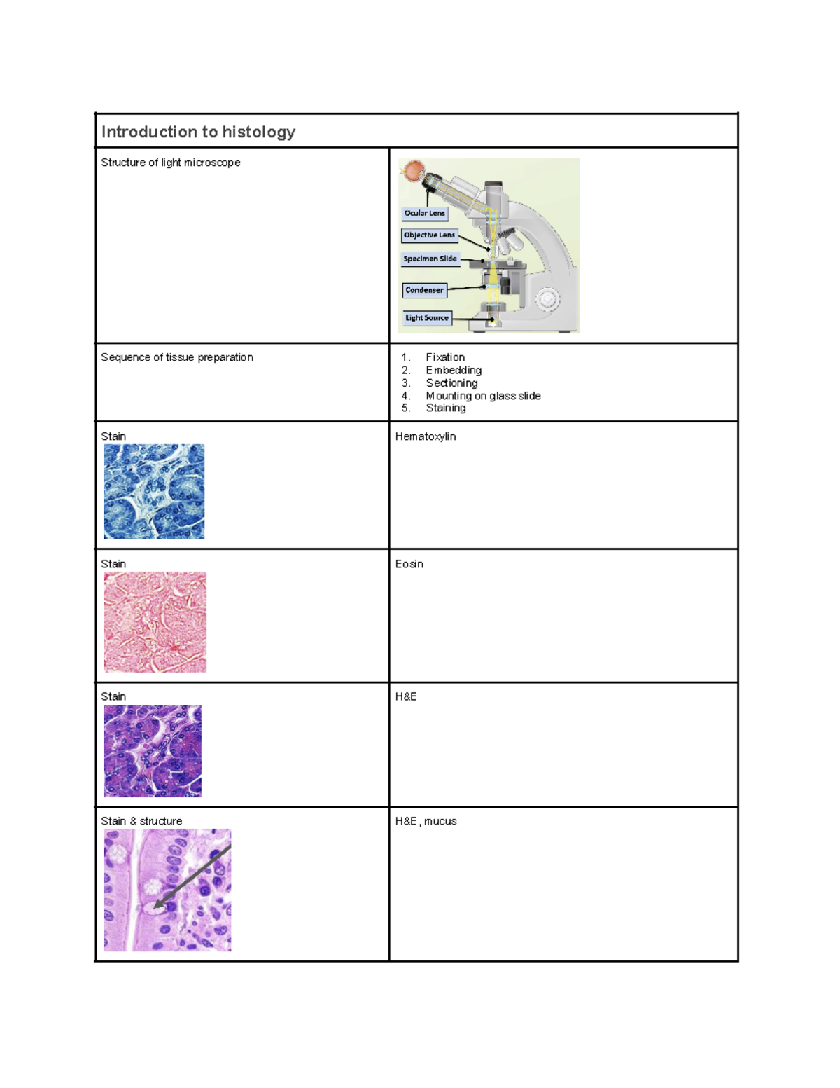 3309 Histology Slides Test - Introduction to histology Structure of ...