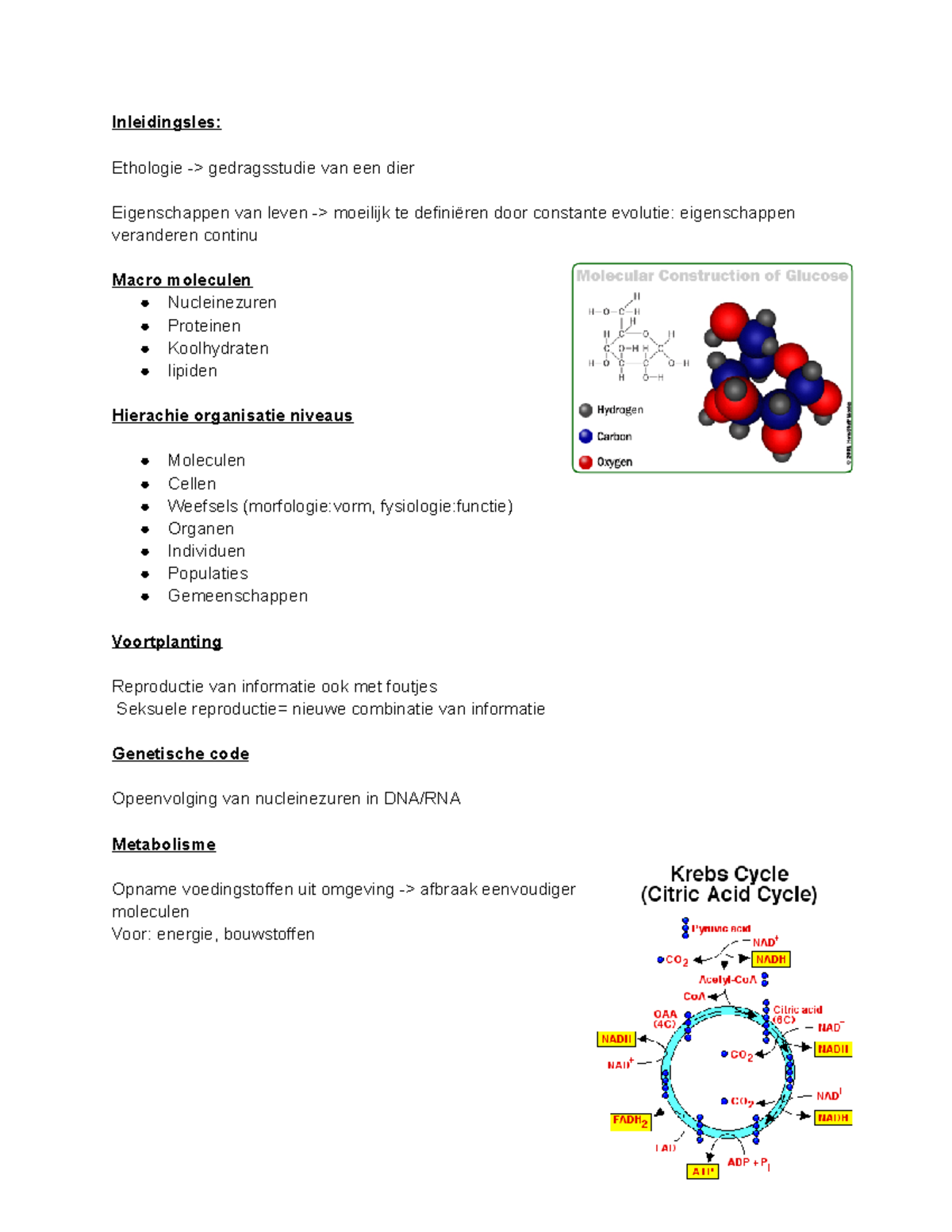 Dierkunde samenvatting - Inleidingsles: Ethologie -> gedragsstudie van ... Dierkunde samenvatting - Inleidingsles: Ethologie -> gedragsstudie van ...