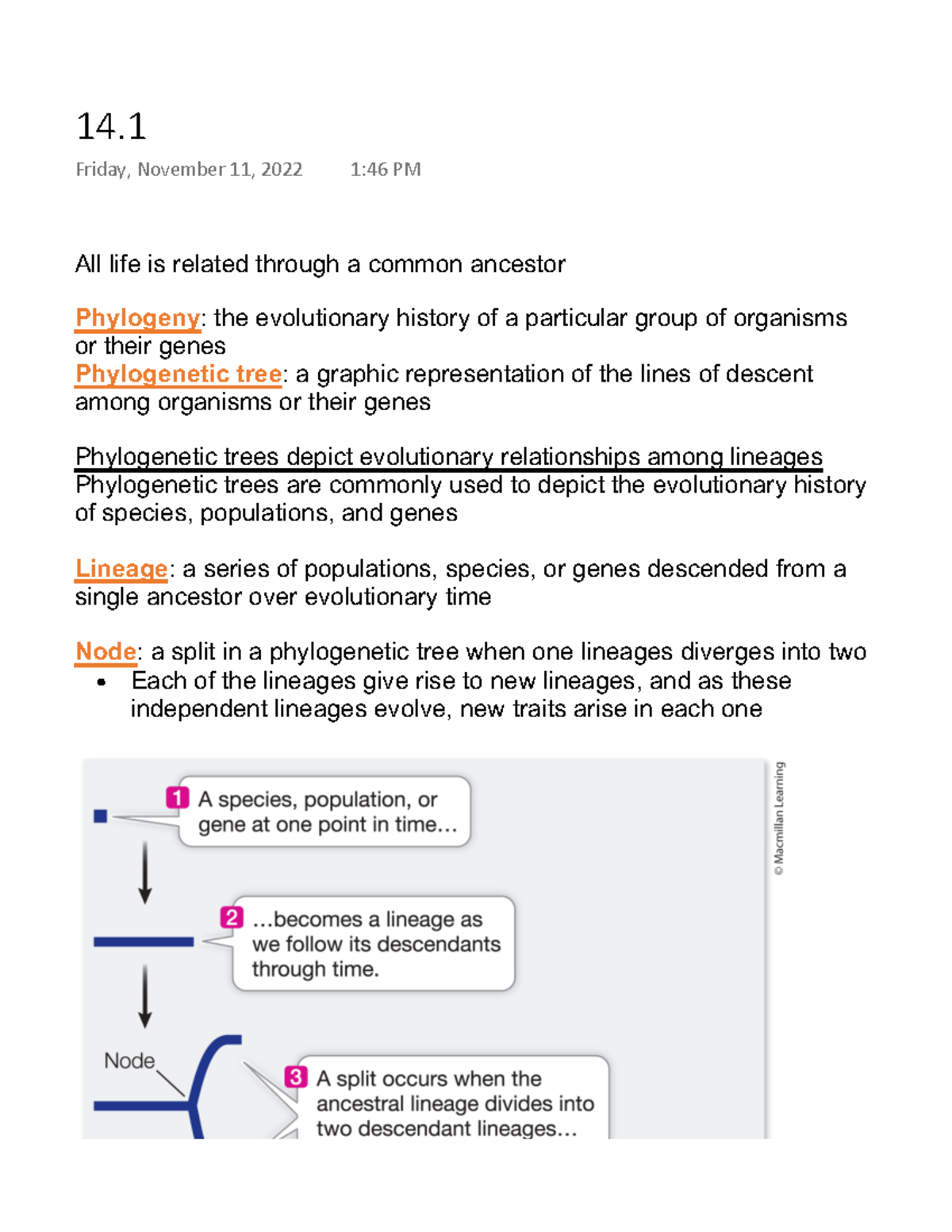 14 - Chapter 14.1 Reading notes - All life is related through a common ...
