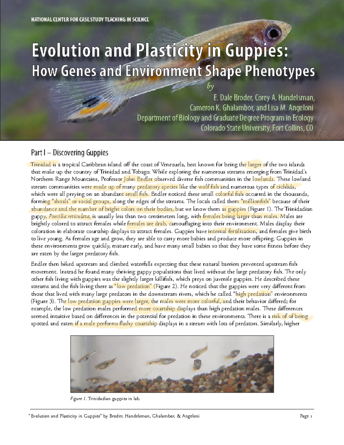 Guppy evolution plasticity casestudy - How Genes and Environment Shape Phenotypes by E. Dale ...