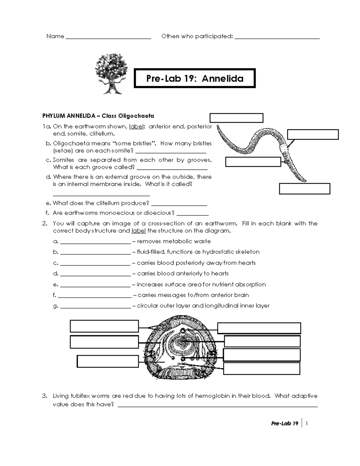 19a Prelab 19 Annelida - Pre-Lab 19 1 Pre-Lab 19 : Annelida Others who ...
