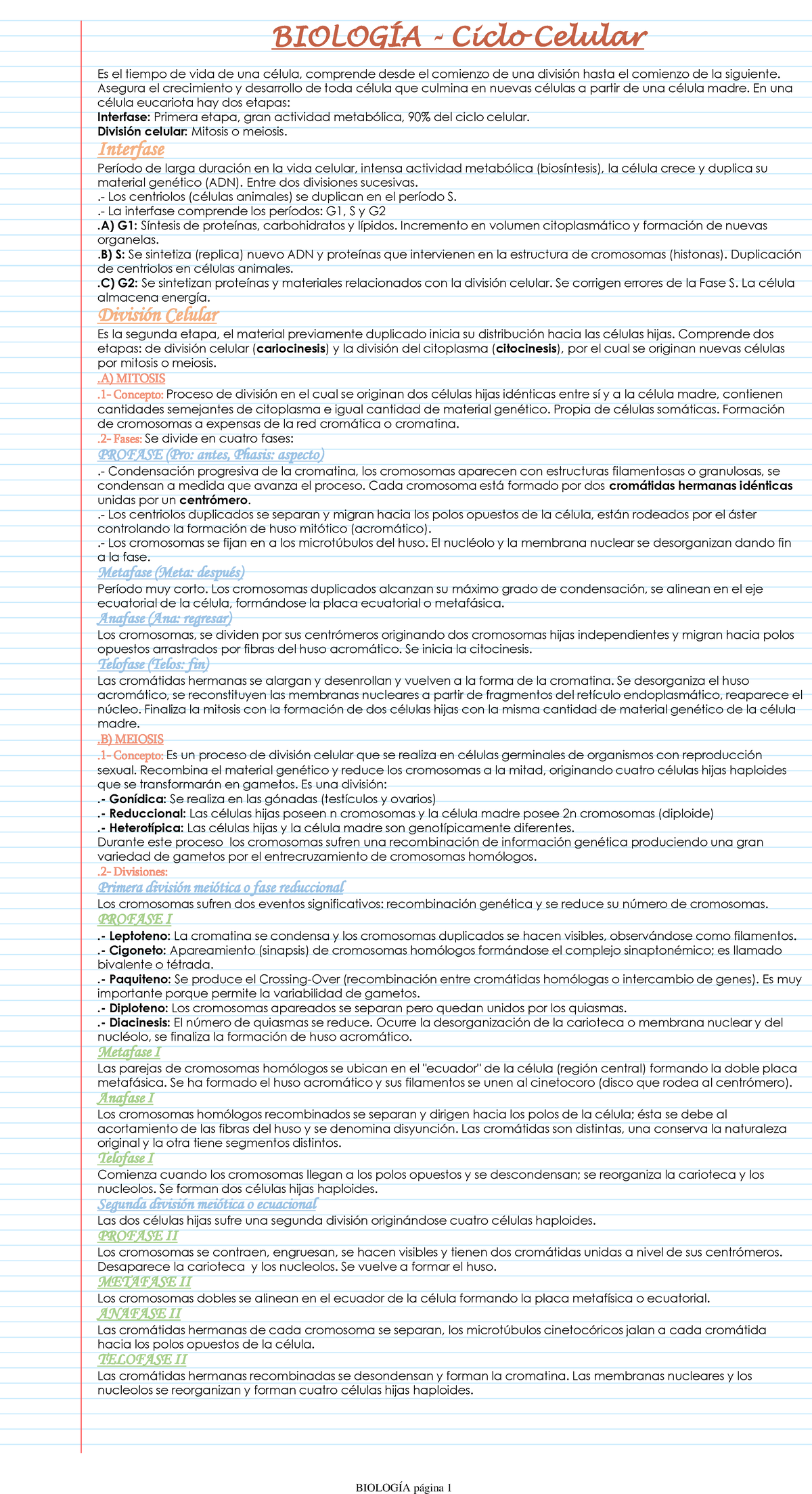 Biología - Ciclo Celular - BIOLOGÍA - Ciclo Celular Es el tiempo de ...
