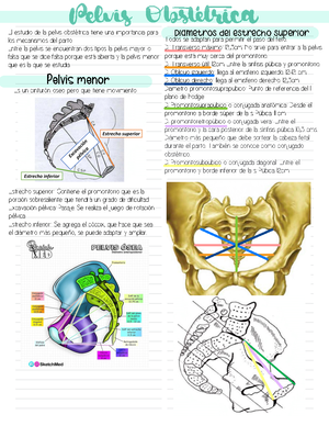 Códigos CIE-10 en Ginecología, Obstetricia y Neonatología - CÓDIGOS ...