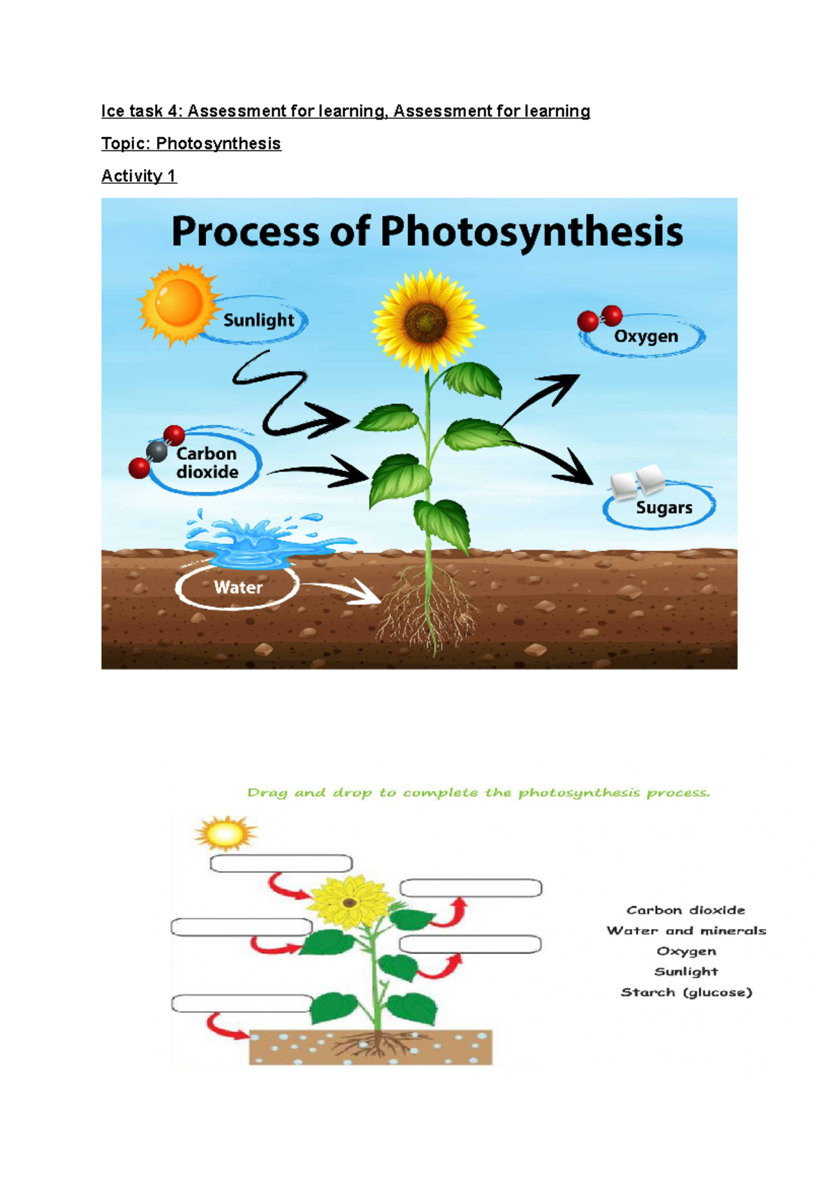Ice task Tnst - Ice Task - Ice task 4: Assessment for learning ...