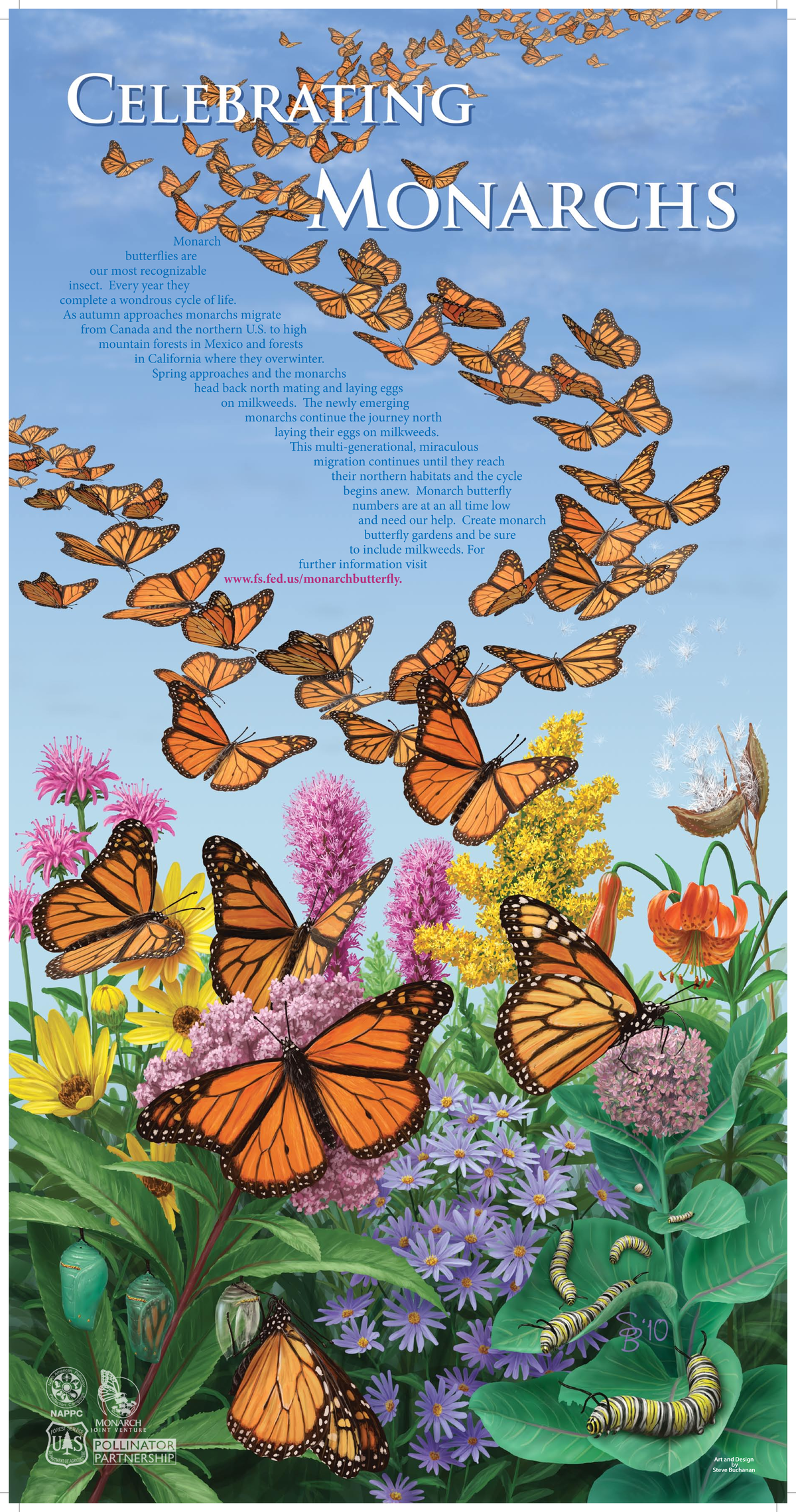 Celebratingmonarchs poster - Monarch butterflies are our most ...