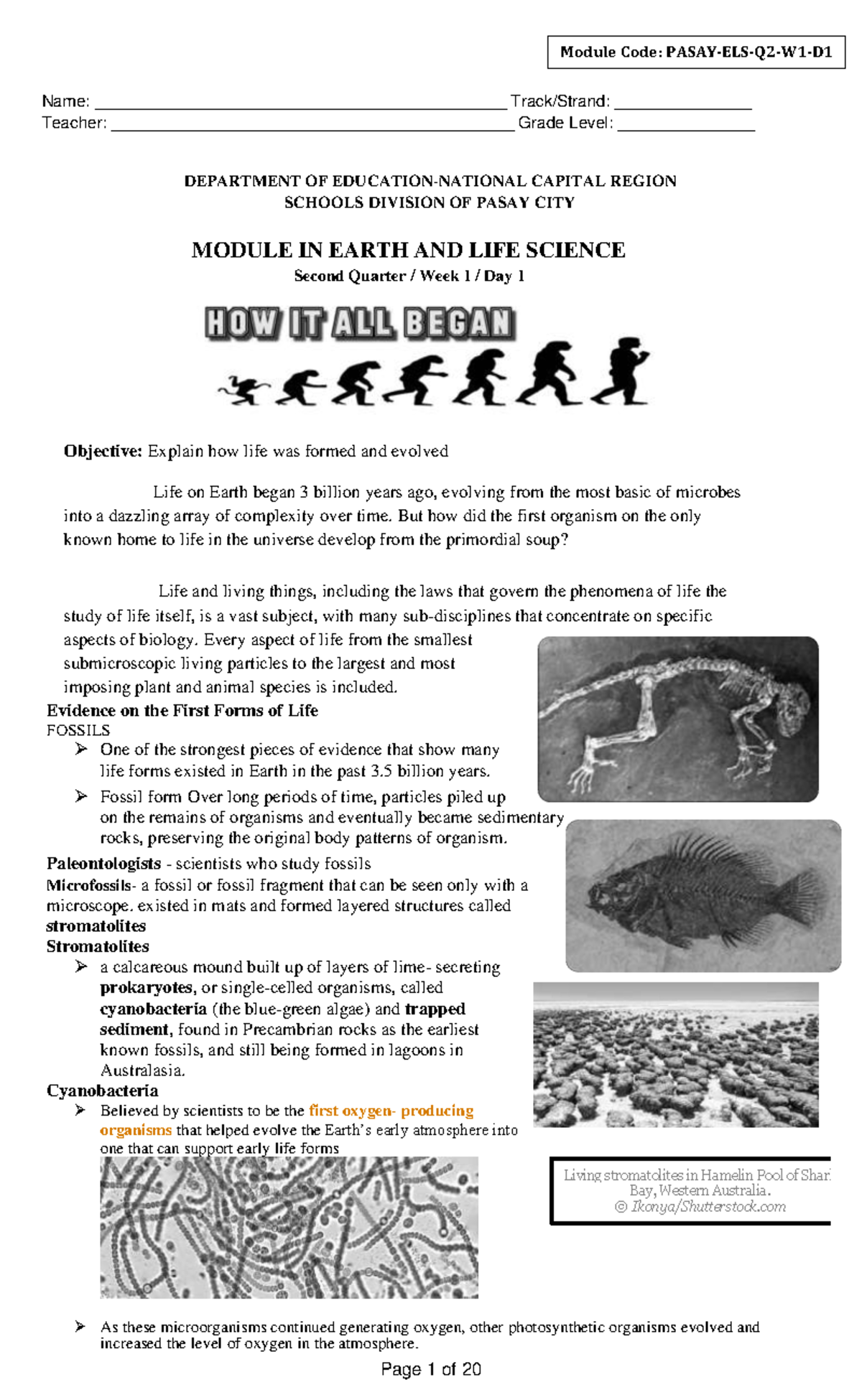 04 Humms 11 Pasay ELS Q2 W1 - Name ...