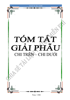 Statistics by Robert S. Witte- John S. Witte - VP AND EDITORIAL ...