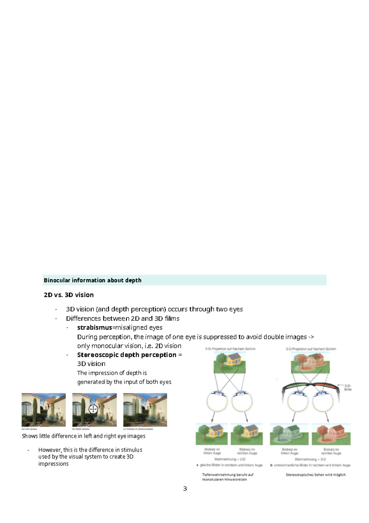Summary 6.2 - Binocular information about depth - Binocular information ...
