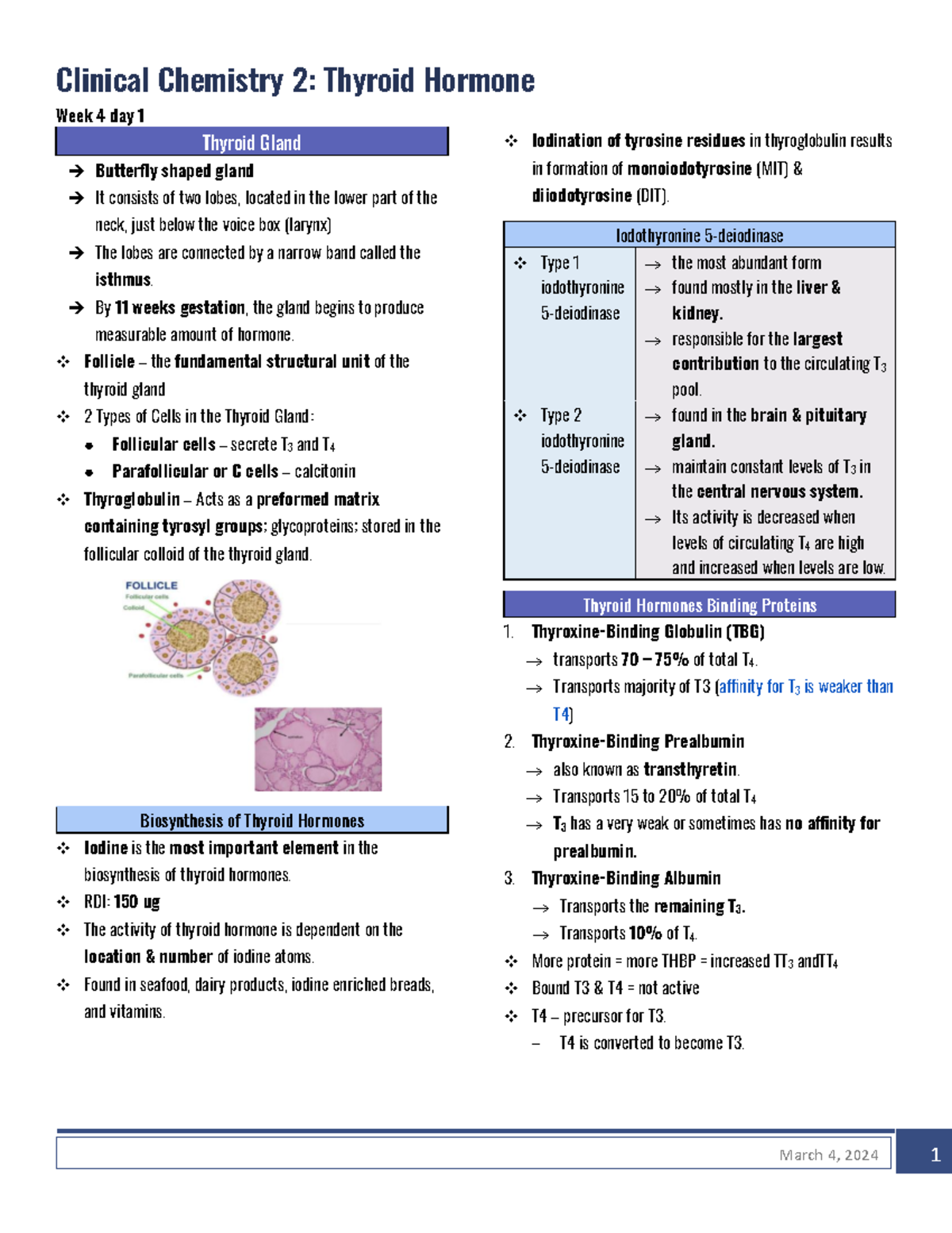 Clinical Chemistry 2 Thyroid Hormone - Week 4 day 1 Thyroid Gland ...