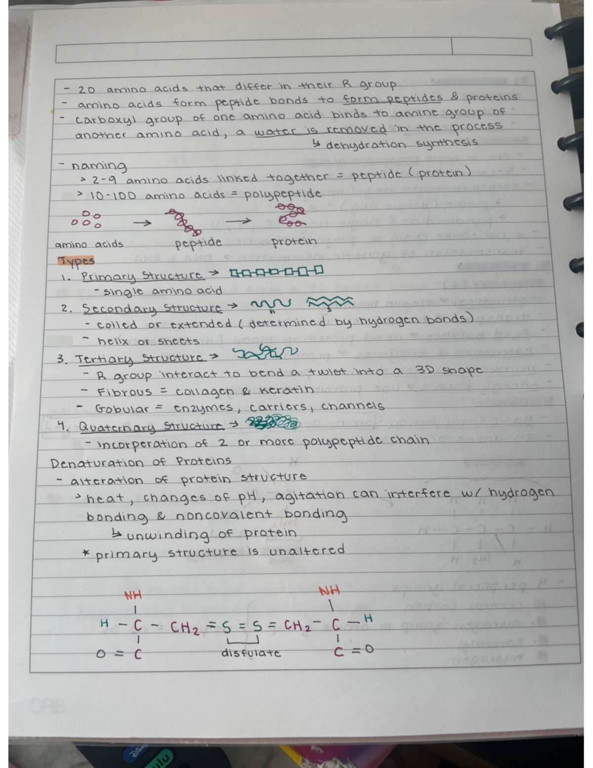 Week 1 : Chemical Composition of the Body / Cell and Tissue Structure ...