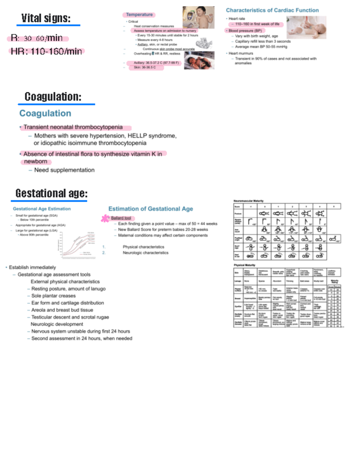 Maternity notes - NUR 2313C - Vital signs: R: 30-60/min HR: 110-160/min ...