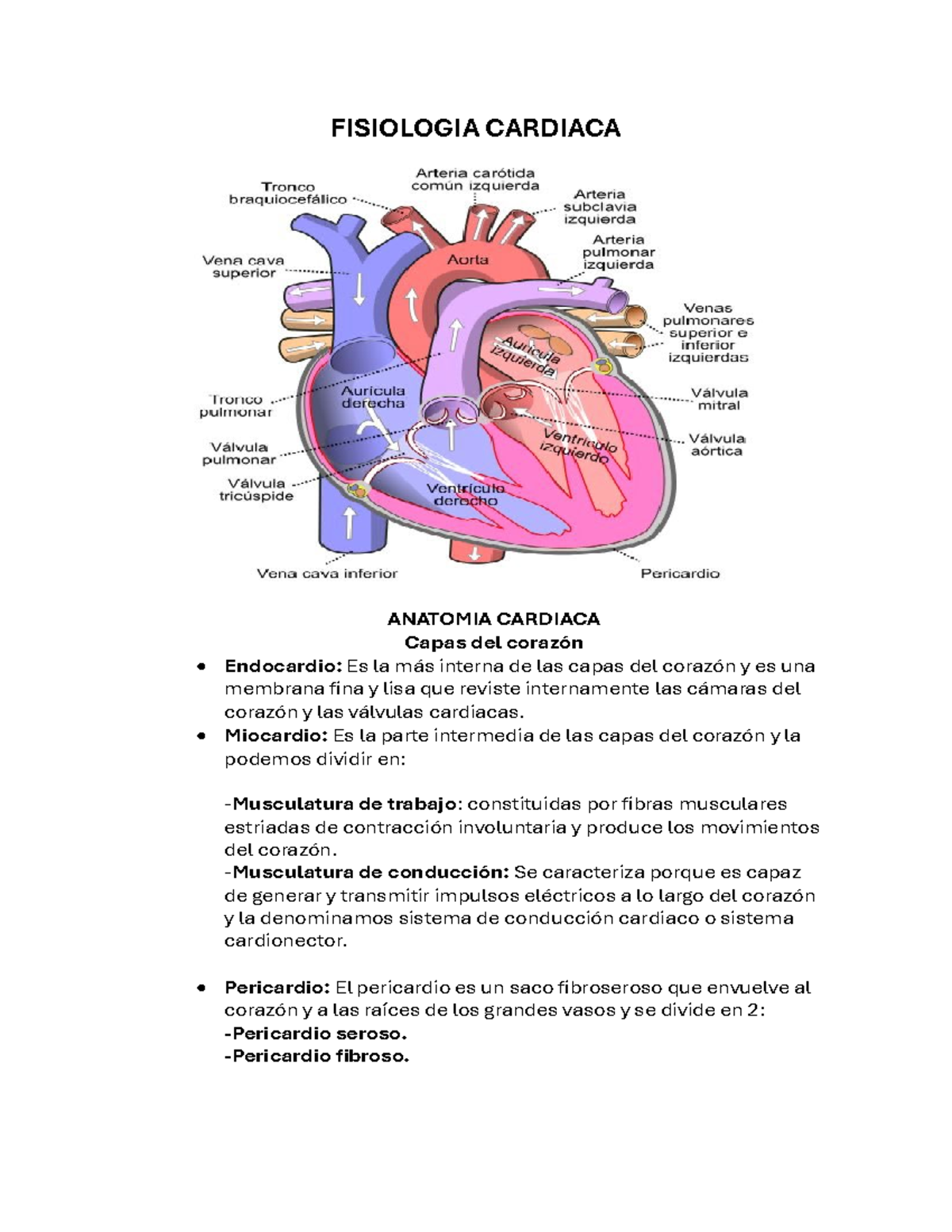 Fisiologia Cardiaca Definitiva - FISIOLOGIA CARDIACA ANATOMIA CARDIACA ...