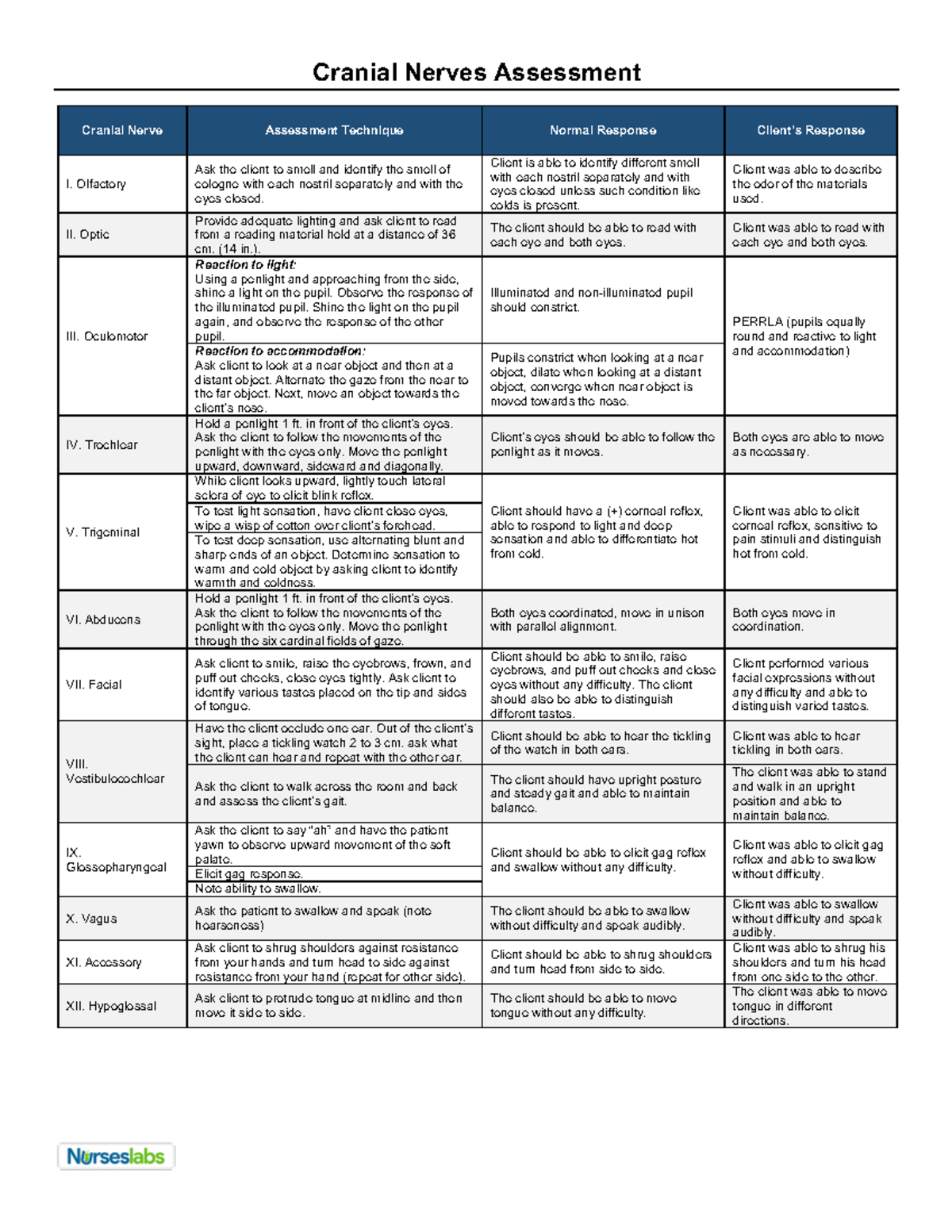 Nurseslabs-Cranial Nerves Assessment Form - Cranial Nerves Assessment ...