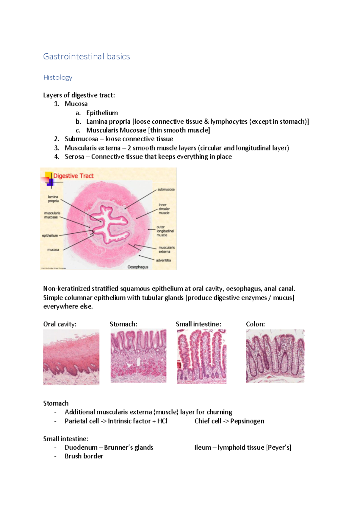 Gastrointestinal simplified for all - Gastrointestinal basics Histology ...