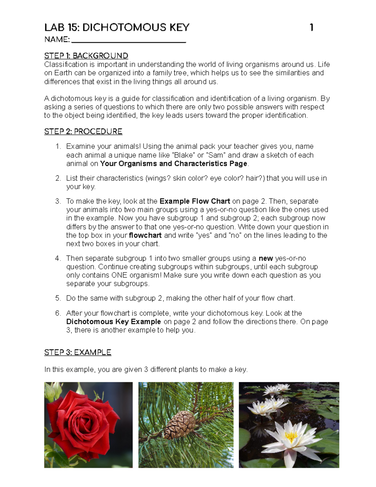 Lab 15 Dichotomous Key - NAME: _________________________________ STEP 1 ...