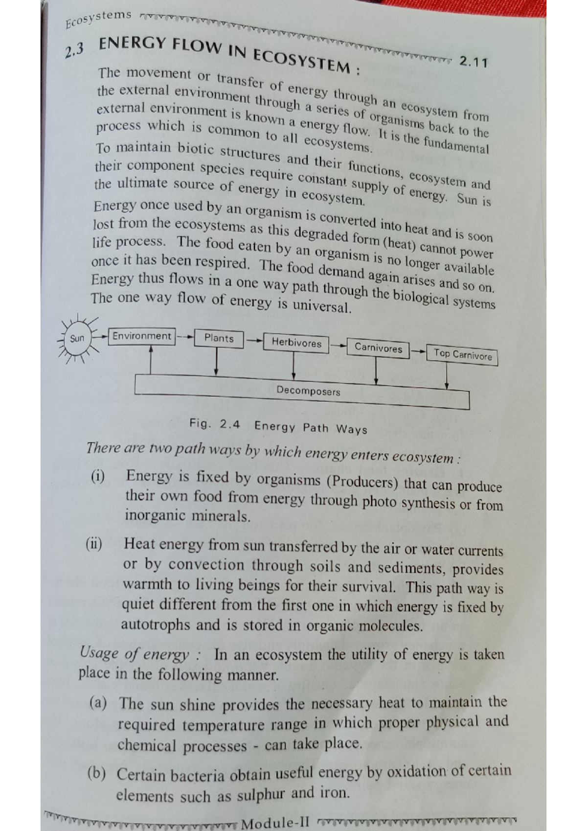 Energy Flow In Ecosystem - Environmental engineering - Studocu