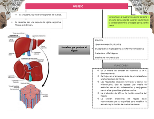 Transcavidad de los epiplones - Esteo) Introducción El peritoneo es una ...