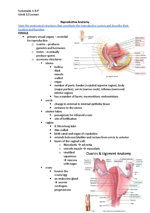 Systemic anatomy notes - Homeostasis, Cells, Epithelia Homeostasis ...