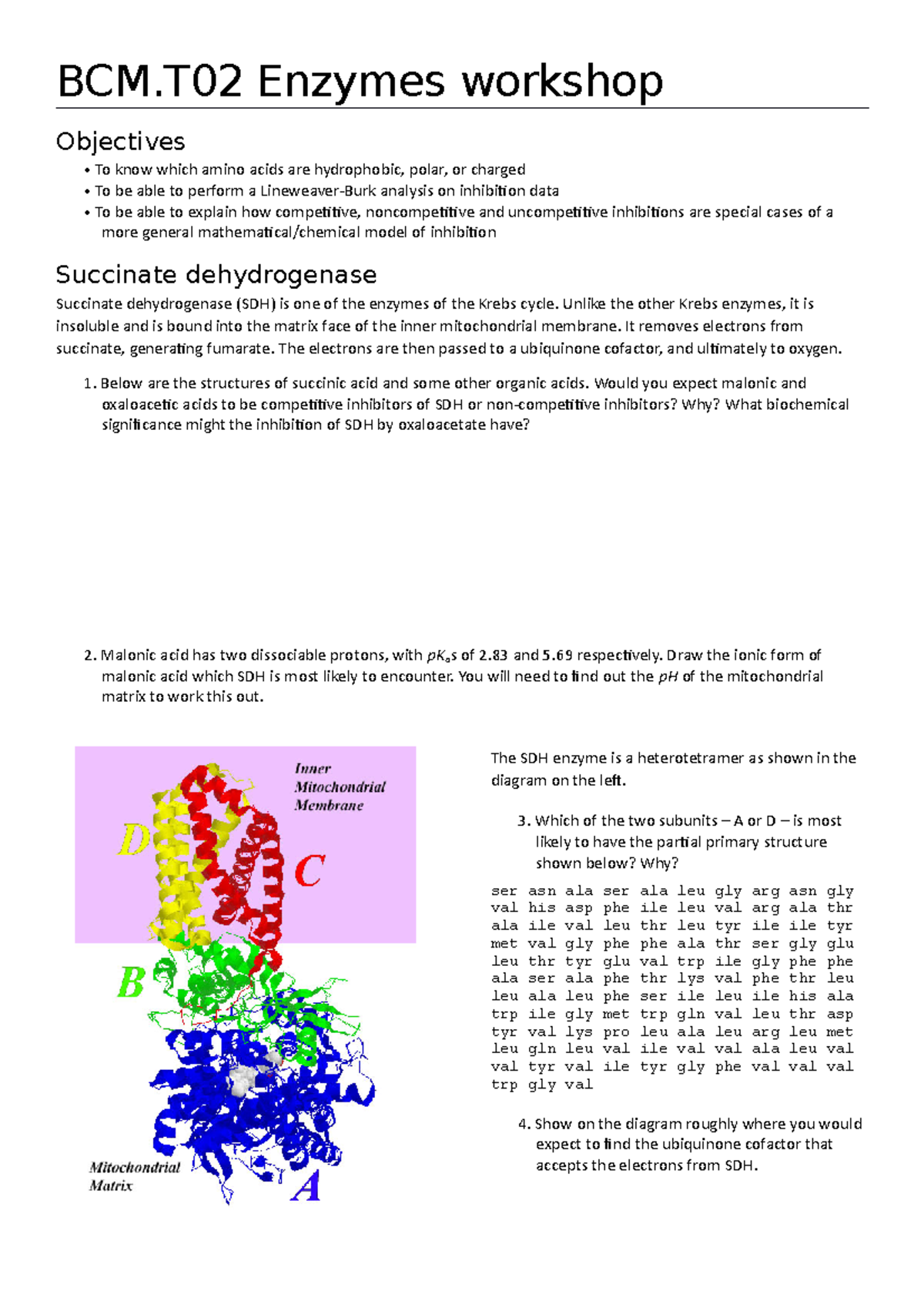 Enzyme workshop questions - BCM Enzymes workshop Objectives • To know which amino acids are ...