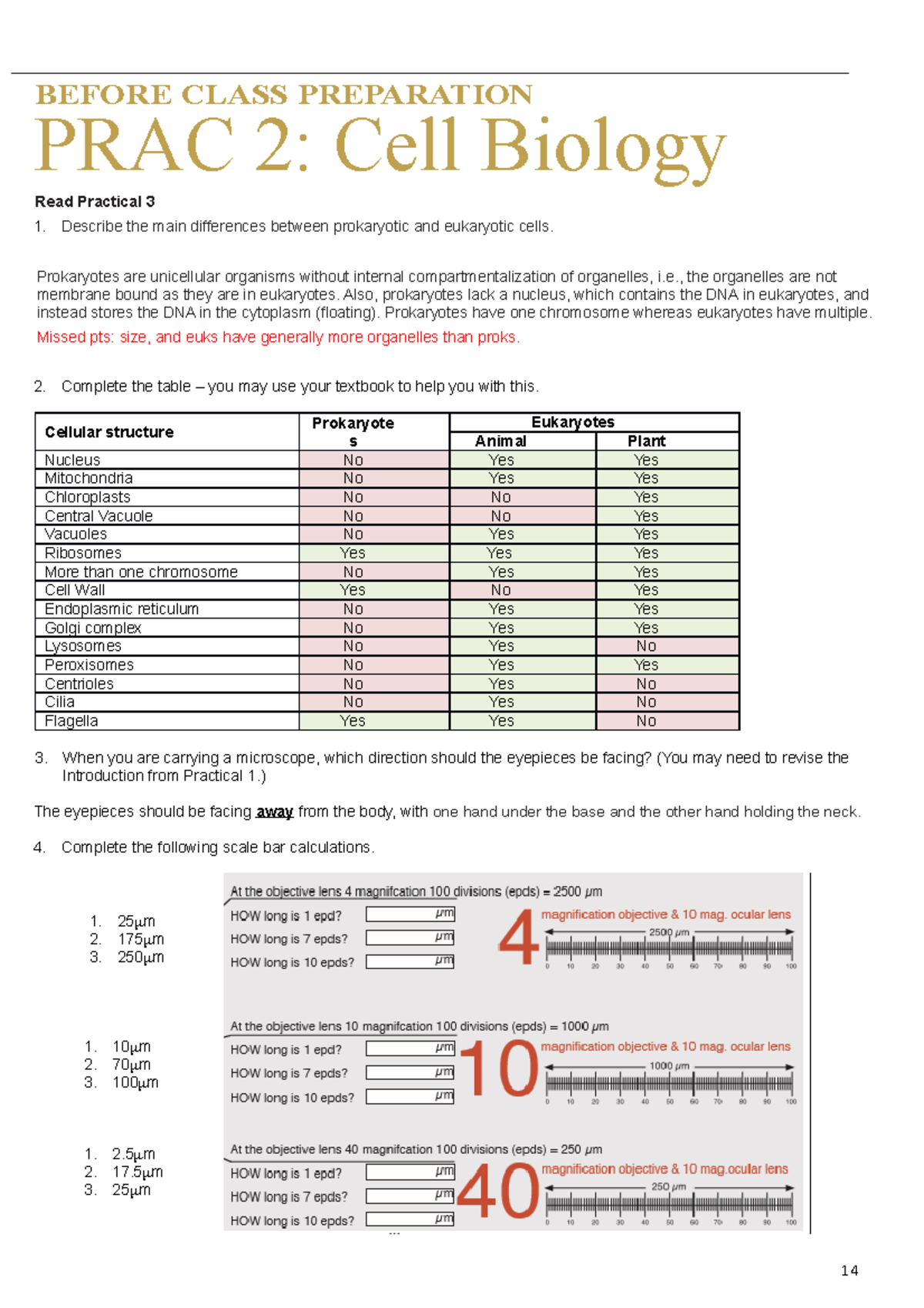 Prac 2 Microscopy Pre work - BIOL1020 - UQ - Studocu