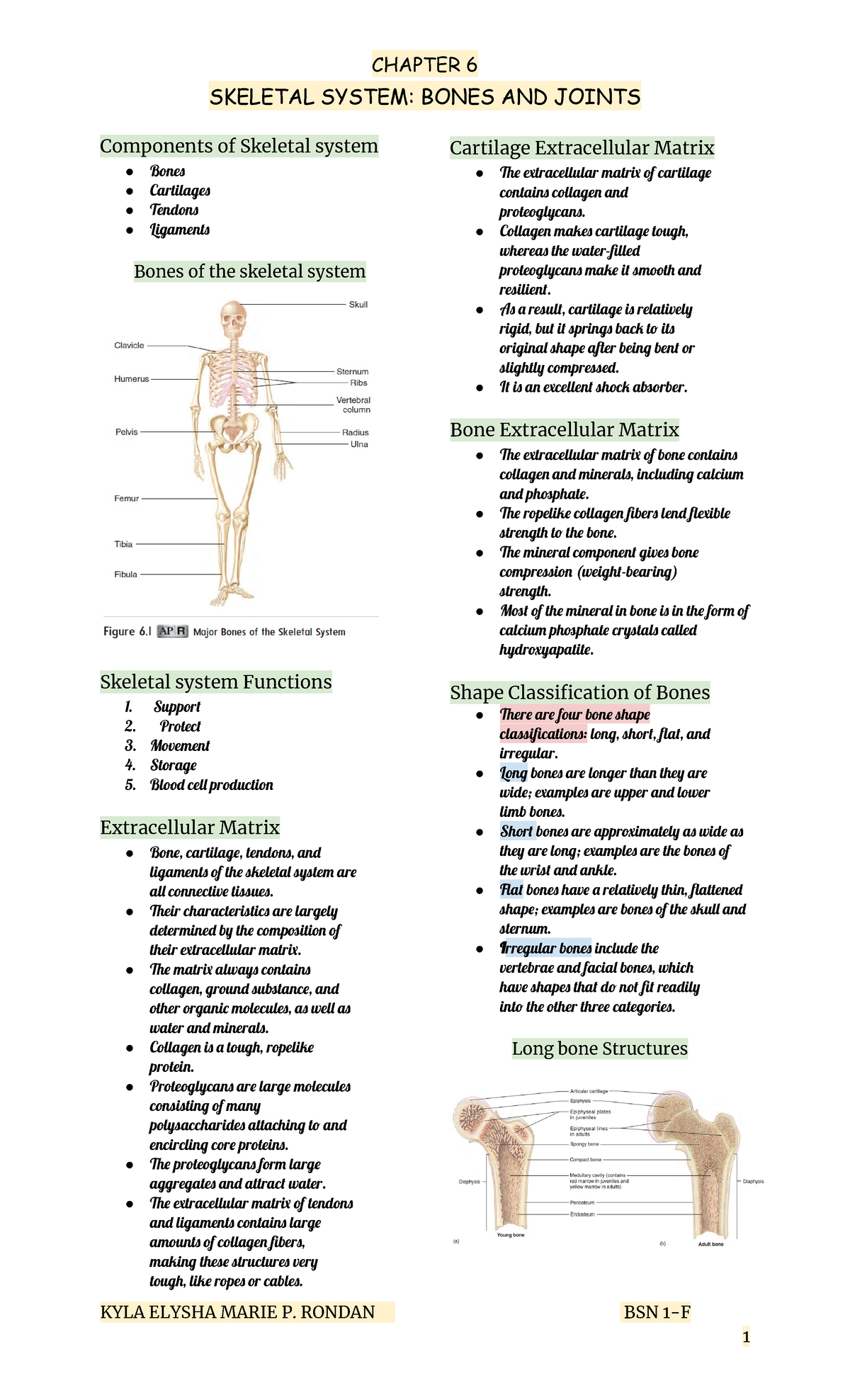 Anaphy Chapter 6 - SKELETAL SYSTEM: BONES AND JOINTS Components of Skeletal system Bone - Studocu