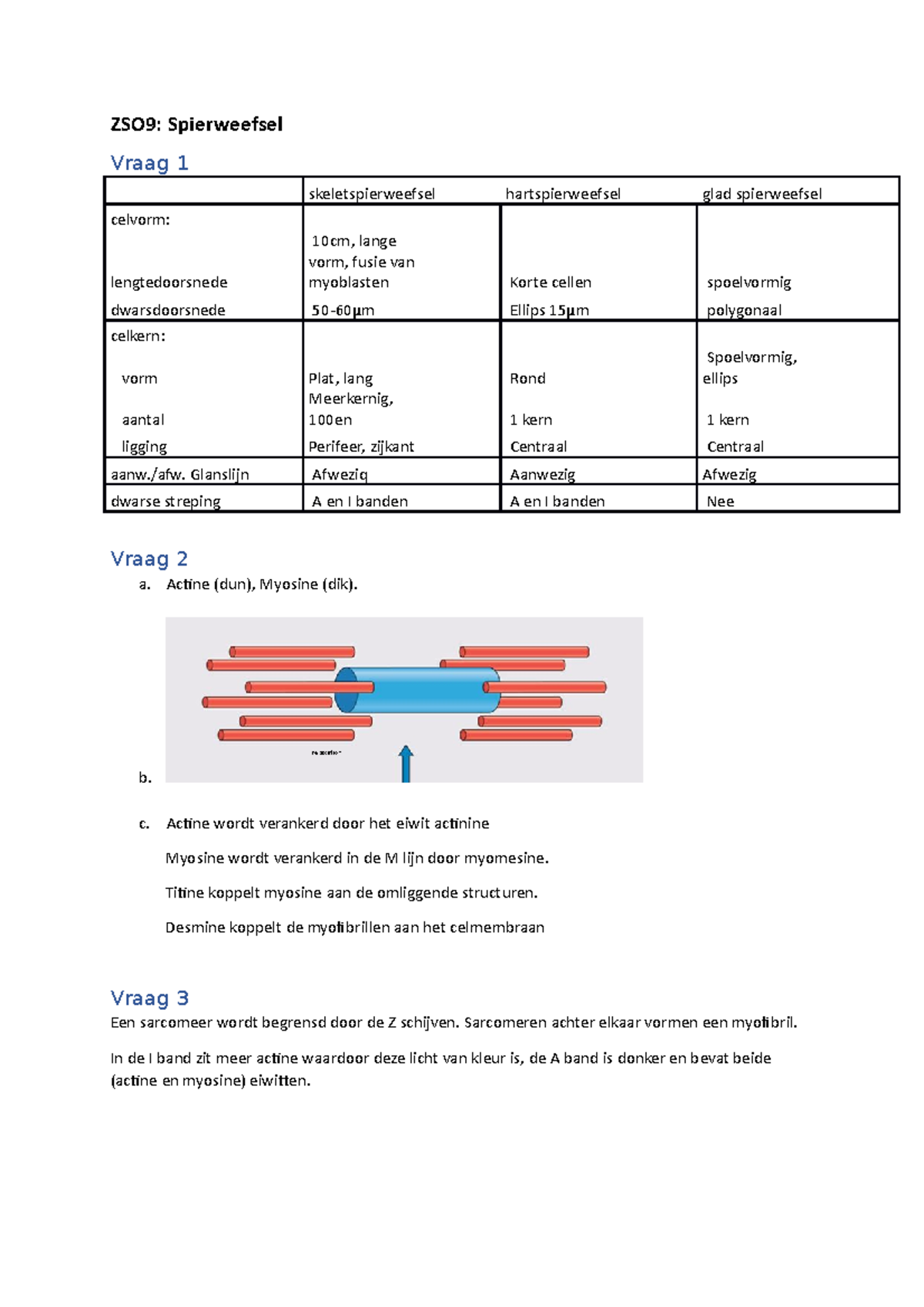 ZSO9 Spierweefsel - ZSO9: Spierweefsel Vraag 1 skeletspierweefsel ...