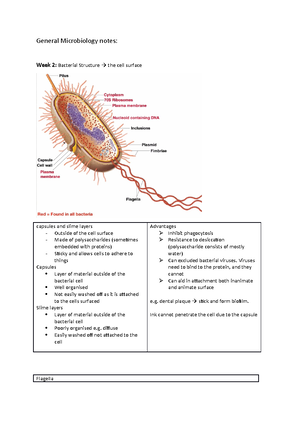 Lecture 1 and 2 - Gen Micro 2022 - Lecture 1: Introduction to ...
