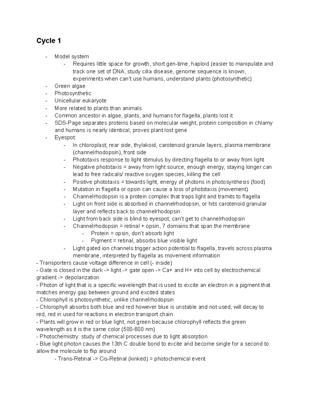 Bio 1002 Cycle 1 - Cycle 1 Model system Requires little space for ...