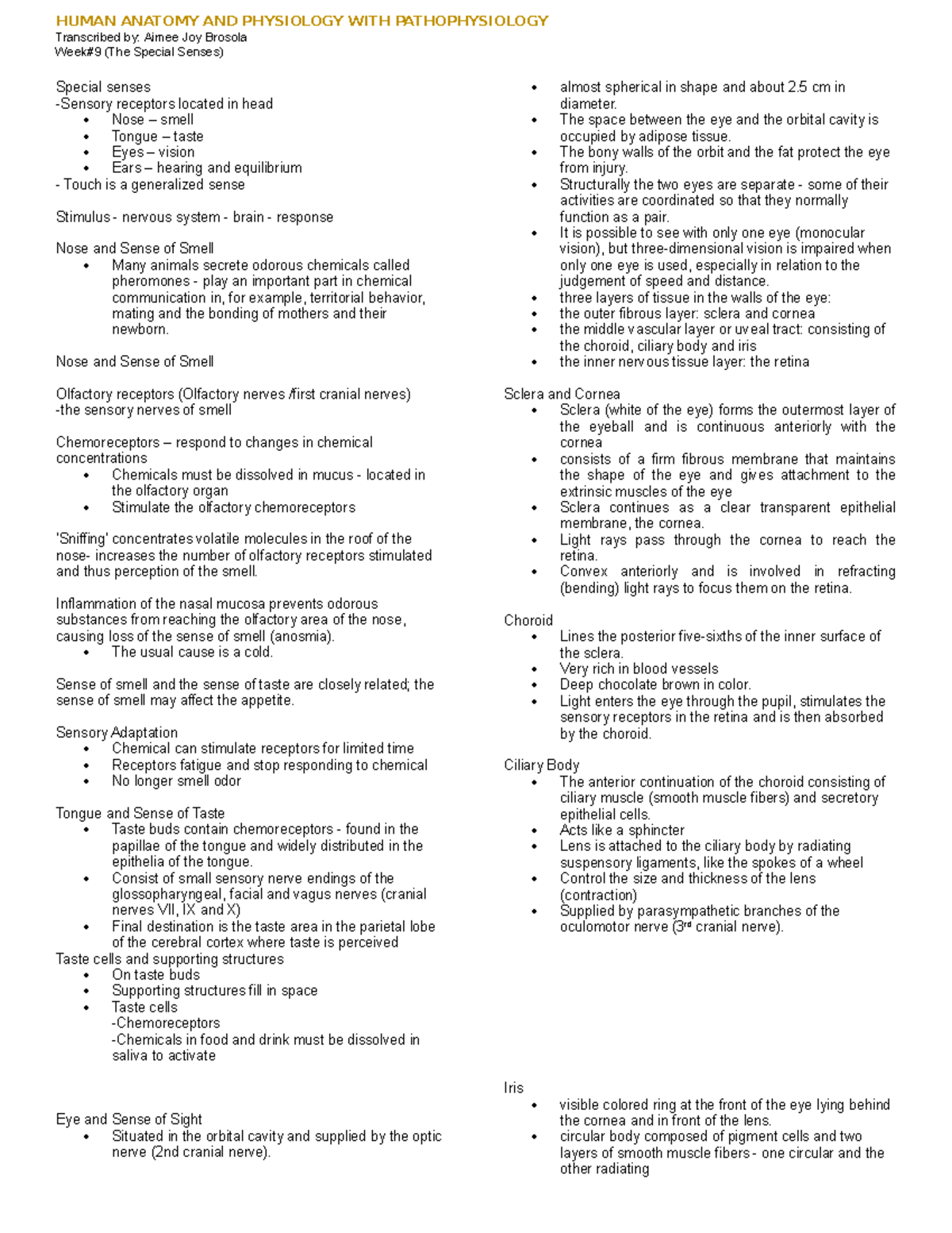 Special senses - gvbrtnyftncfc - HUMAN ANATOMY AND PHYSIOLOGY WITH ...