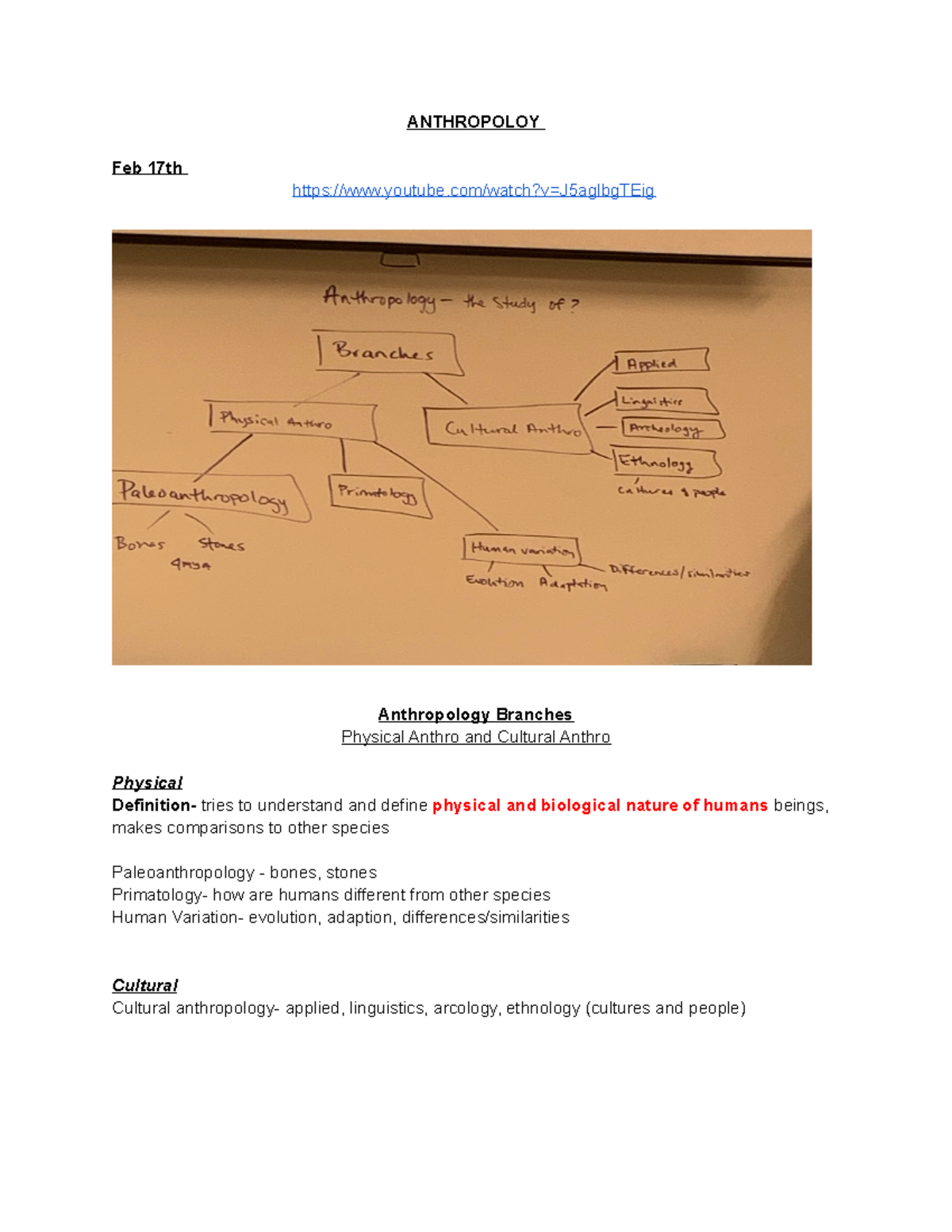 Anthropology Notes - ANTHROPOLOY Feb 17th youtube/watch?v=J5aglbgTEig ...