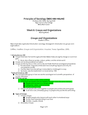 Culture Notes - Principles of Sociology (SOC-100-110/J10) Professor E ...