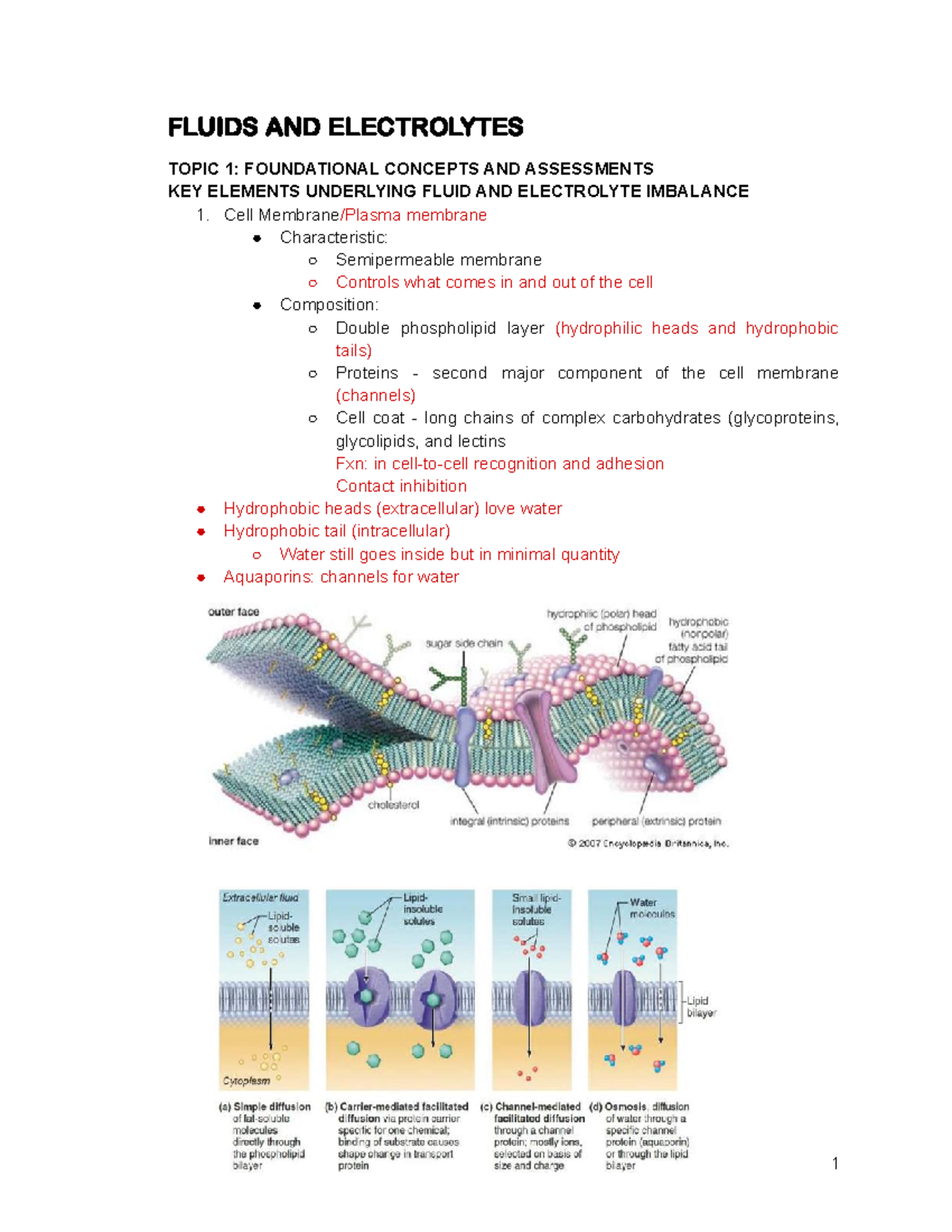 Fluids AND Electrolytes compressed 1 3 - FLUIDS AND ELECTROLYTES TOPIC ...