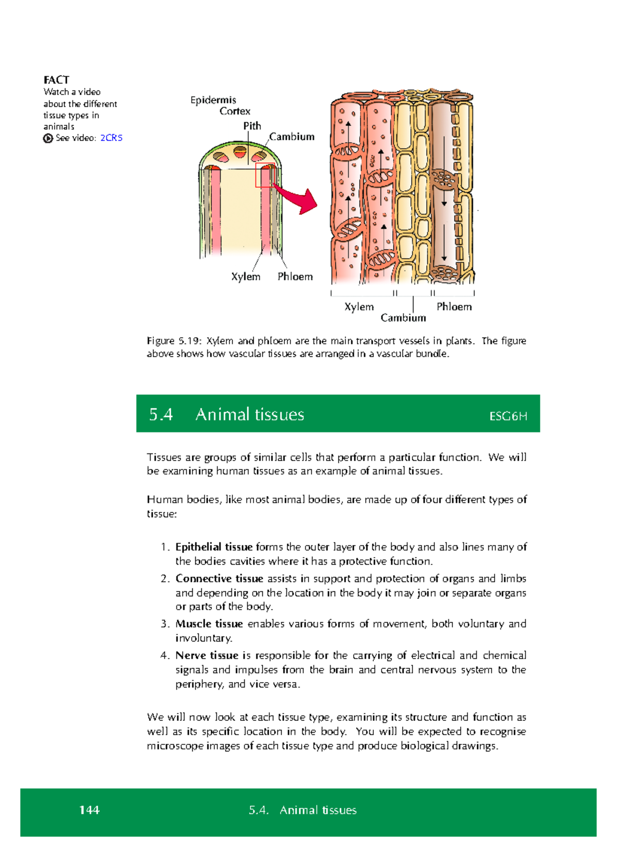 Animal Tissues Textbook - FACT Watch a video about the different tissue ...