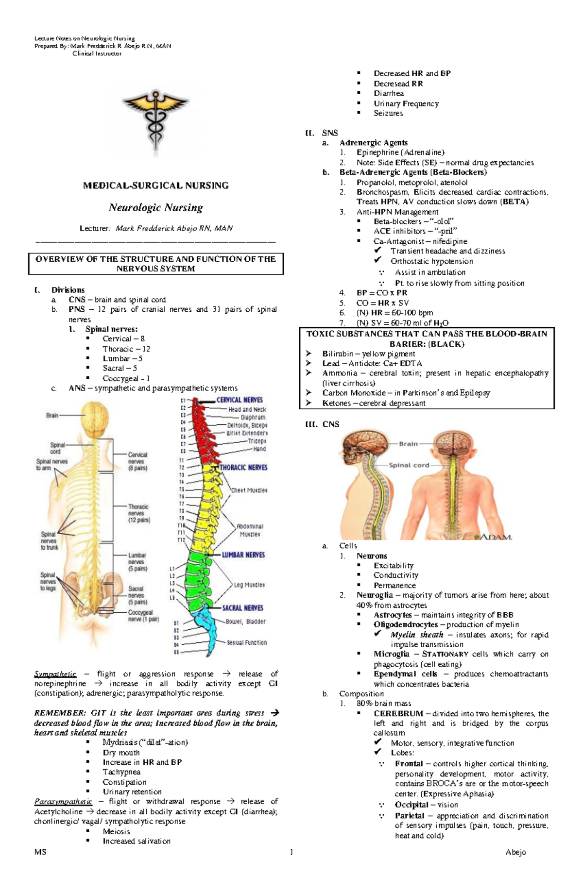 7284021 - Neuro notes - Prepared By: Mark Fredderick R Abejo R, MAN ...
