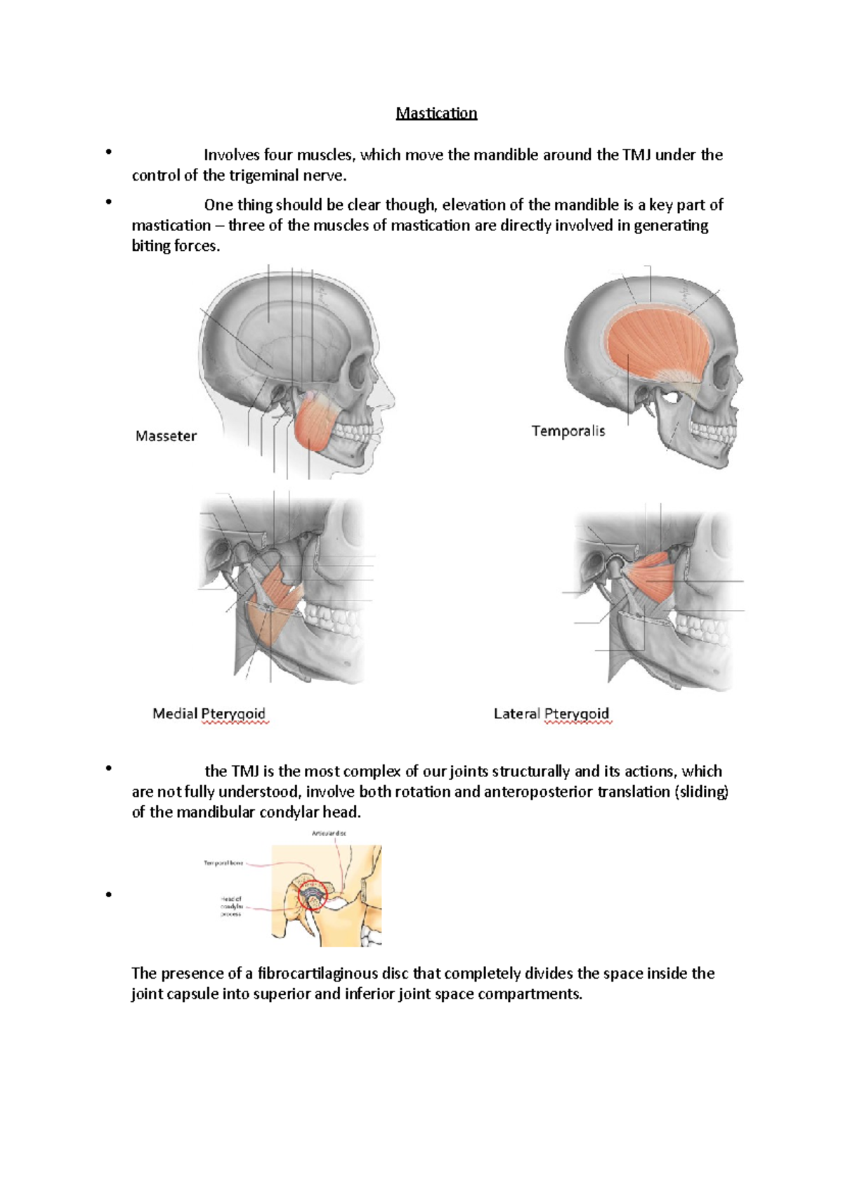 Mastication - Mastication Involves four muscles, which move the ...
