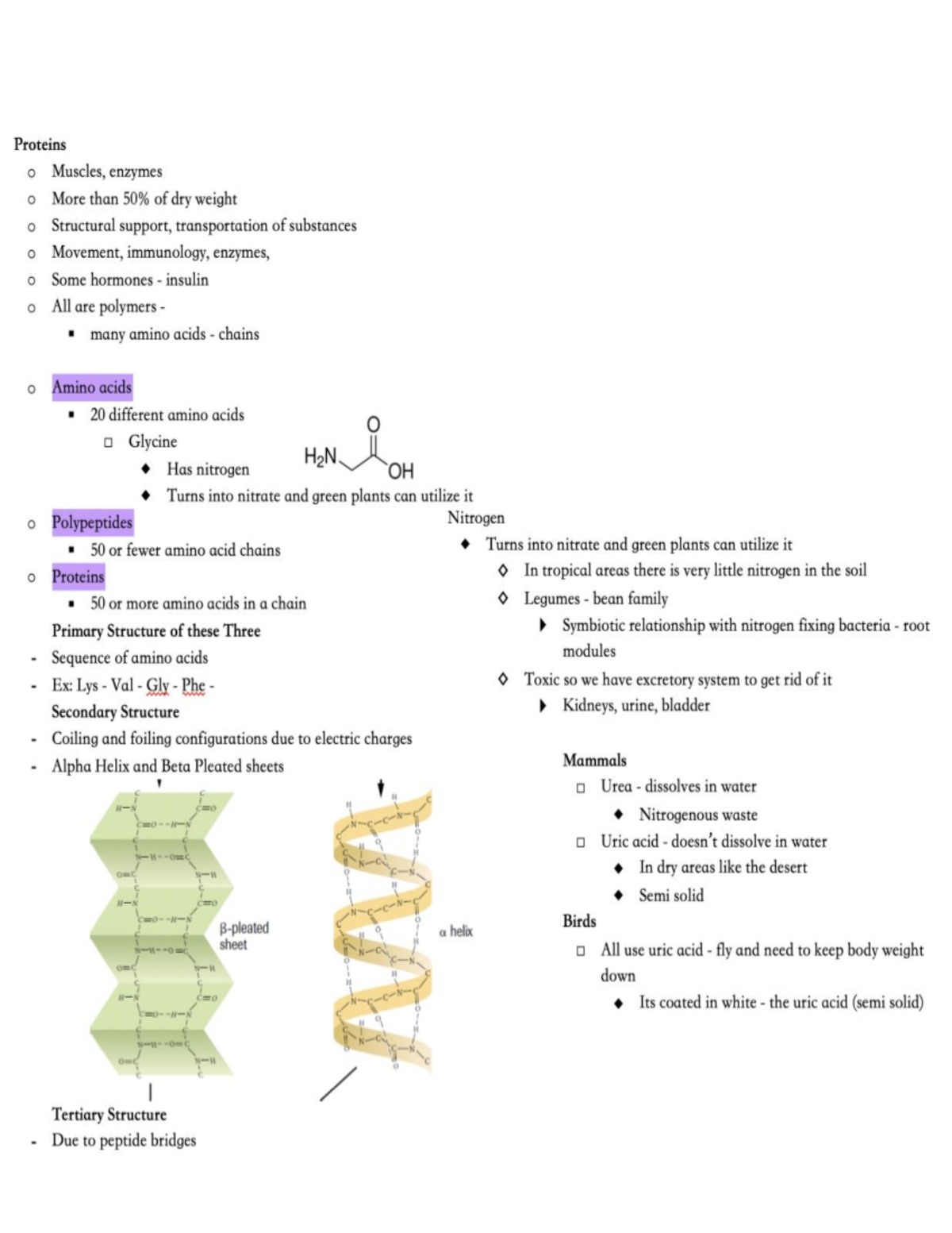 Living Tissues Part 2 - In person complete class notes. Fall 2018 ...