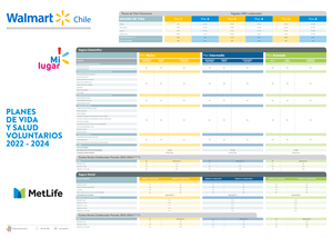 Programa DE Prevención DE Riesgos Junio AÑO 2022 - MAESTRANZA WALTERINOX SPA. JUNIO AÑO 2022 ...
