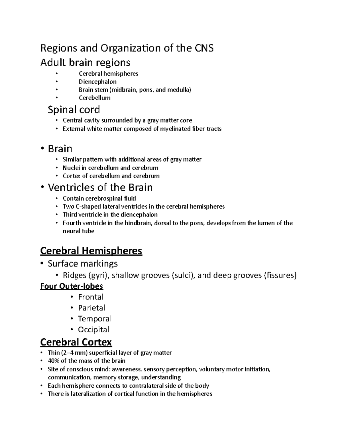 CNS 1 - These notes go over the cerebrum, cortex, and cerebellum ...