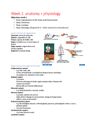 Anatomy Notes - Anatomy, Physiology & Histology Anatomy: Three studies ...