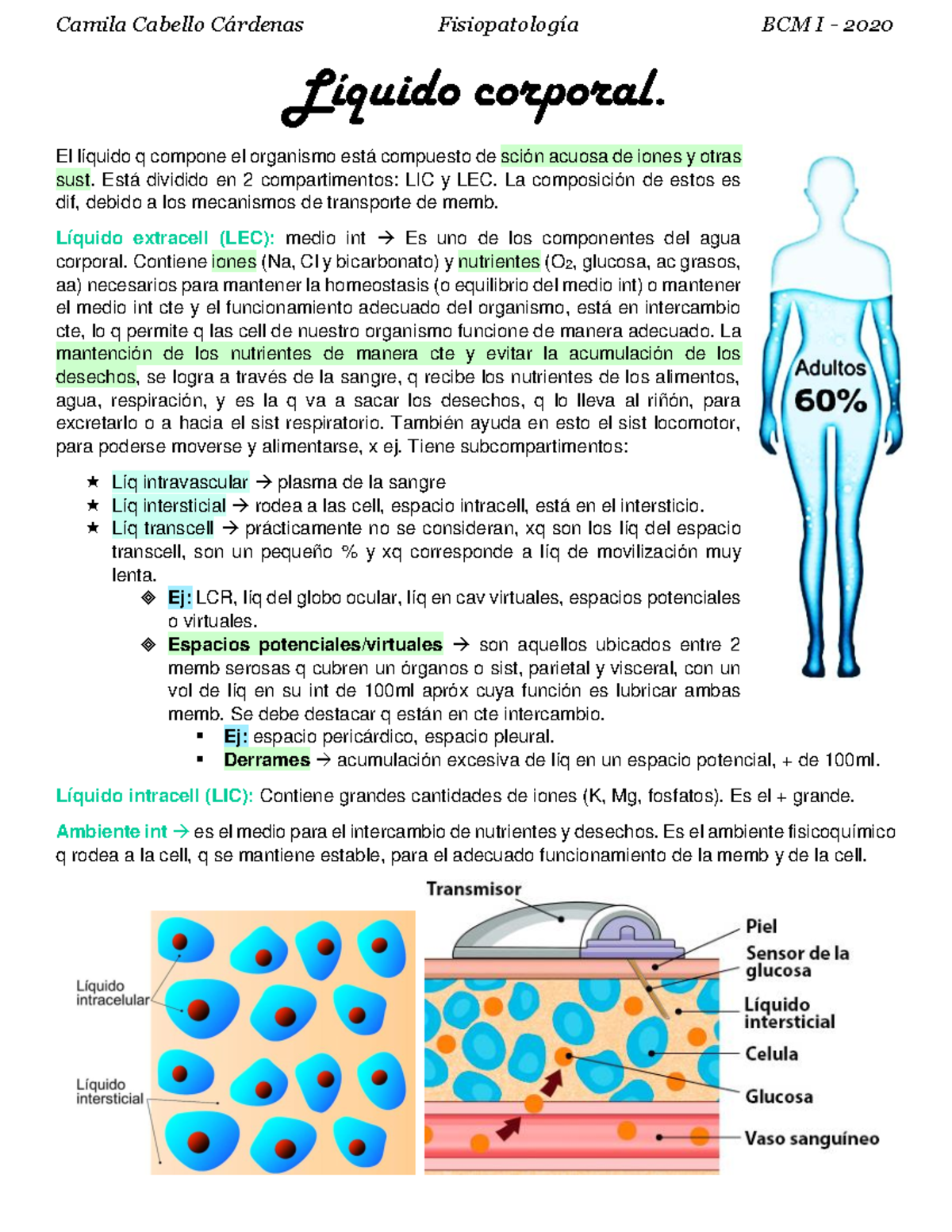 Fluidos corporales 2021 USS - Líquido corporal. El líquido q compone el ...