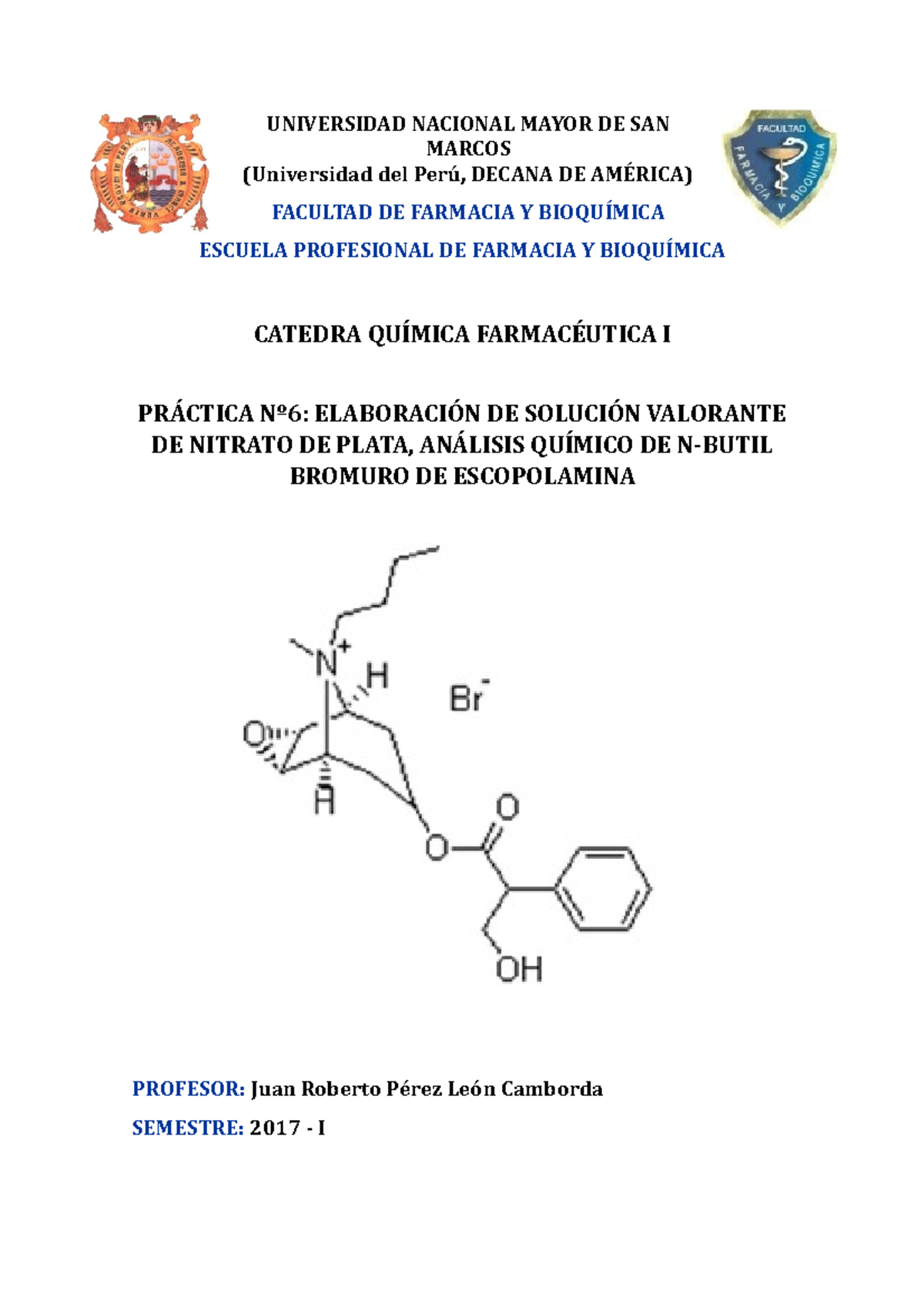 Escopolamina Mecanismo De Ação - BRAINCP