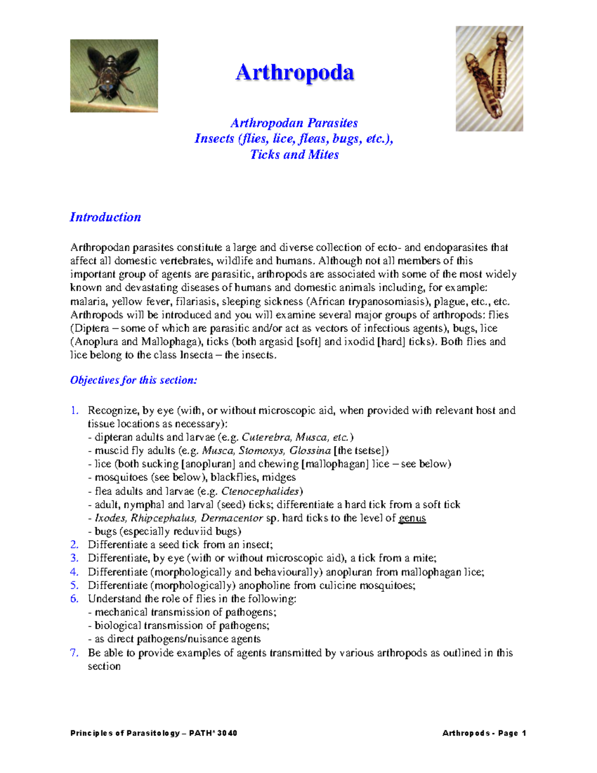 Arthropods - Notes & Summary - Arthropoda Arthropodan Parasites Insects ...