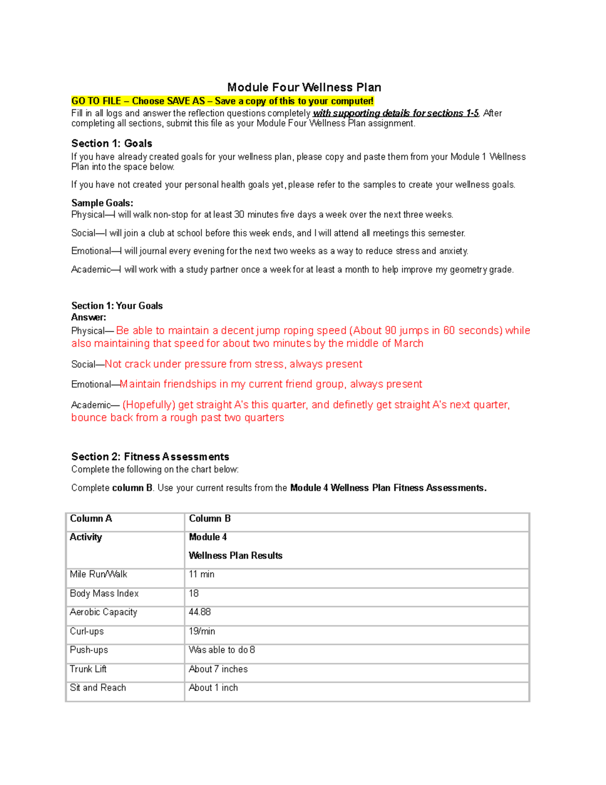Module 04.06 Wellness Plan - Module Four Wellness Plan GO TO FILE – Choose SAVE AS – Save a copy ...
