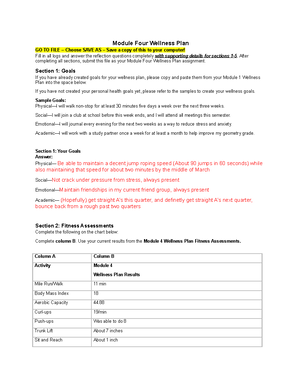 4.06 Wellness Plan HOPE - 4 Wellness Plan Read the instructions for ...