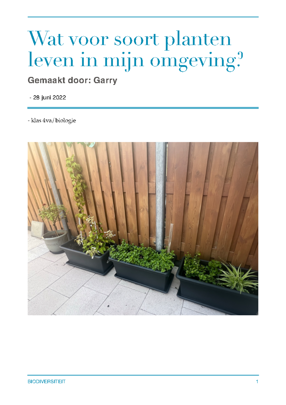 Bio po p5 - Sms si’s - Wat voor soort planten leven in mijn omgeving ...